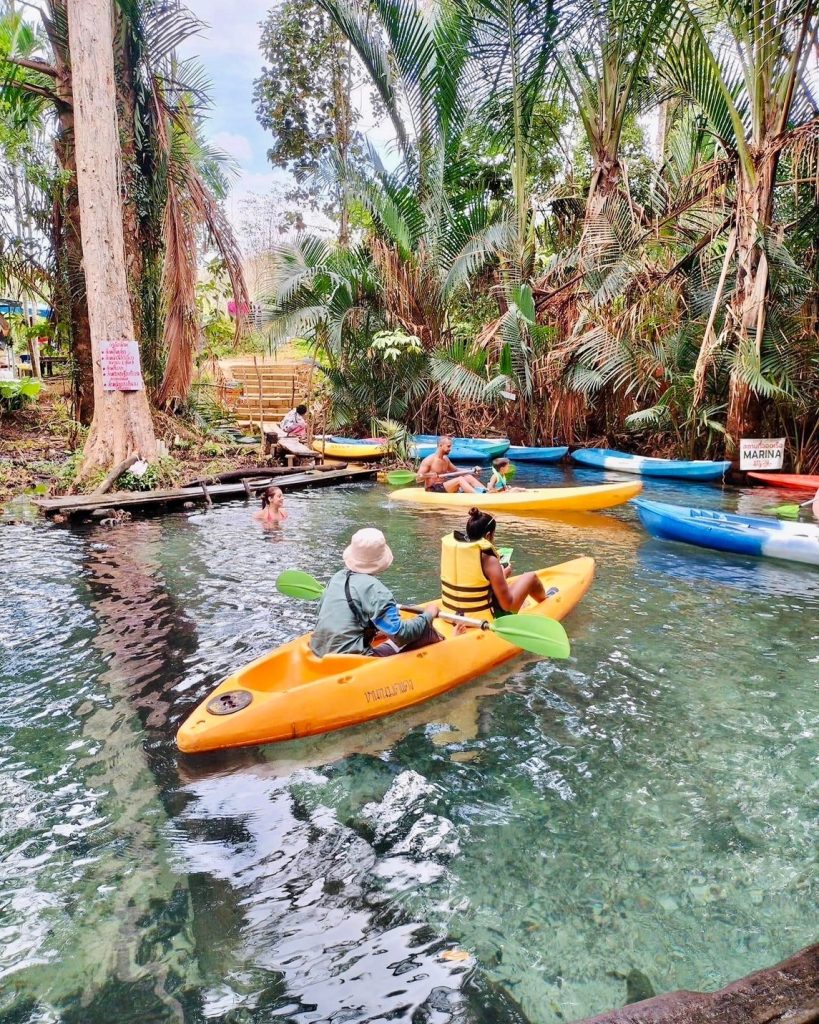 Our Story – Kayak Klong Root Viewpoint