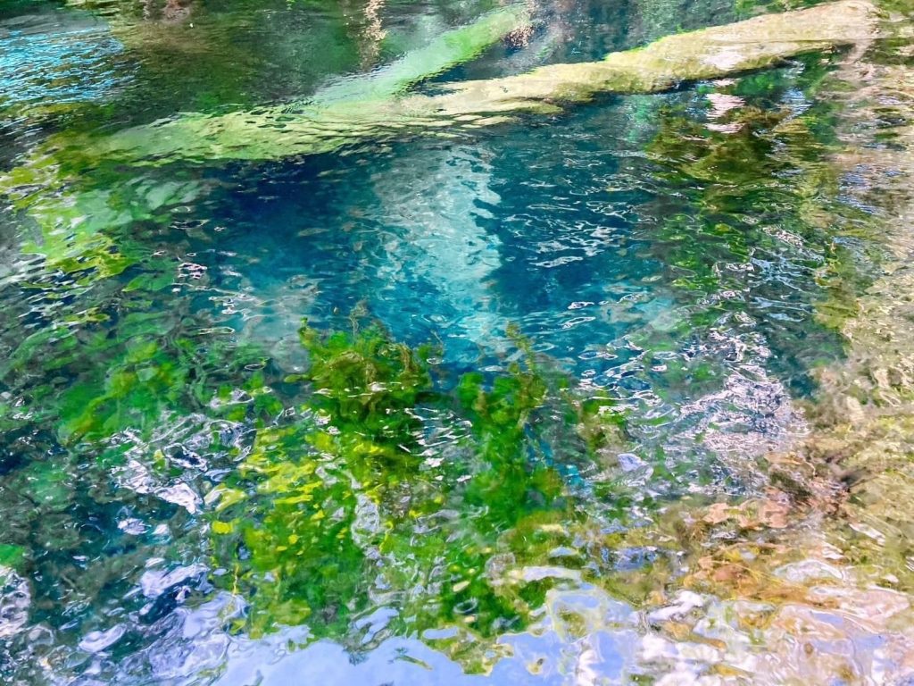 Our Story – Kayak Klong Root Viewpoint