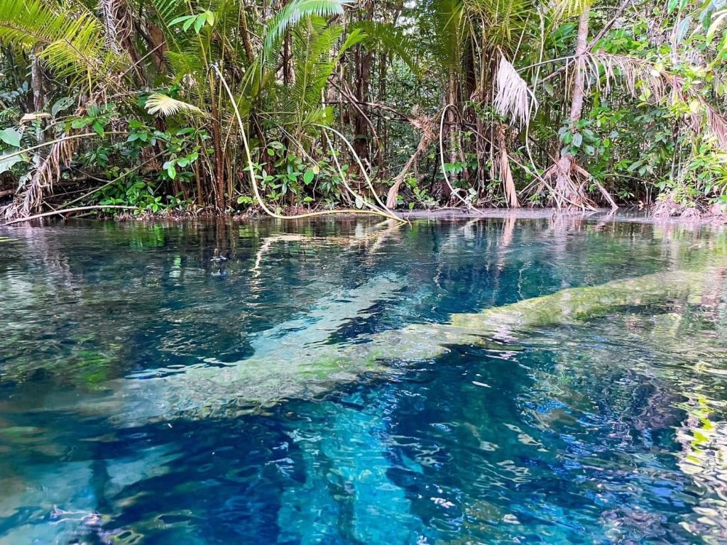 Our Story – Kayak Klong Root Viewpoint