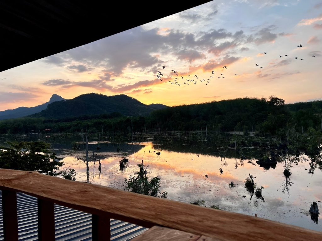 Our Story – Kayak Klong Root Viewpoint