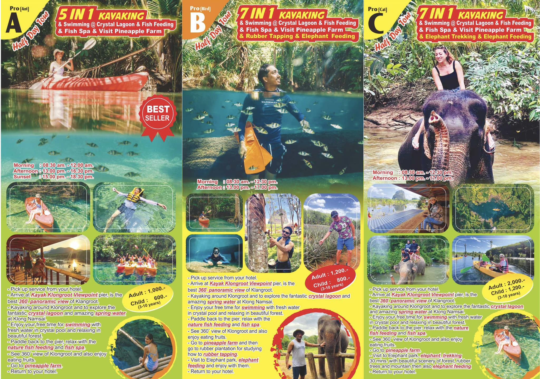 Kayak Klong Root Viewpoint – A low carbon activity with your own hands!